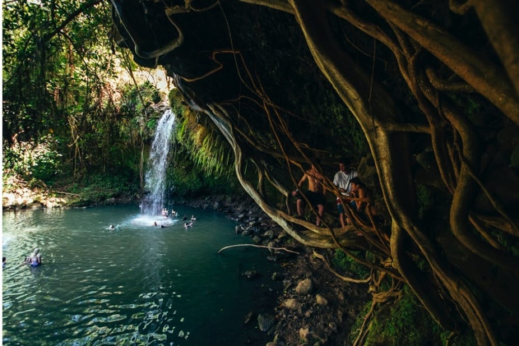 Morning Waterfall Walk